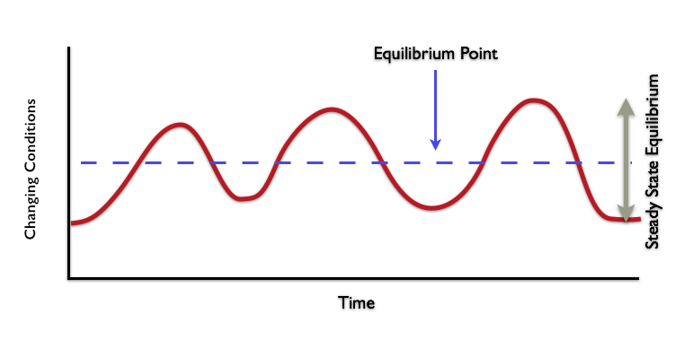 Equilibria and Feedback – Part 1 – Sciencebitz for ESS 2026