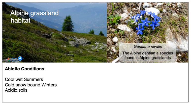 Populations: Abiotic and Biotic Factors – Sciencebitz for ESS 2026