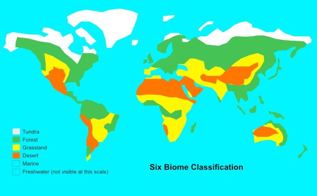 Biomes – Sciencebitz for ESS 2026